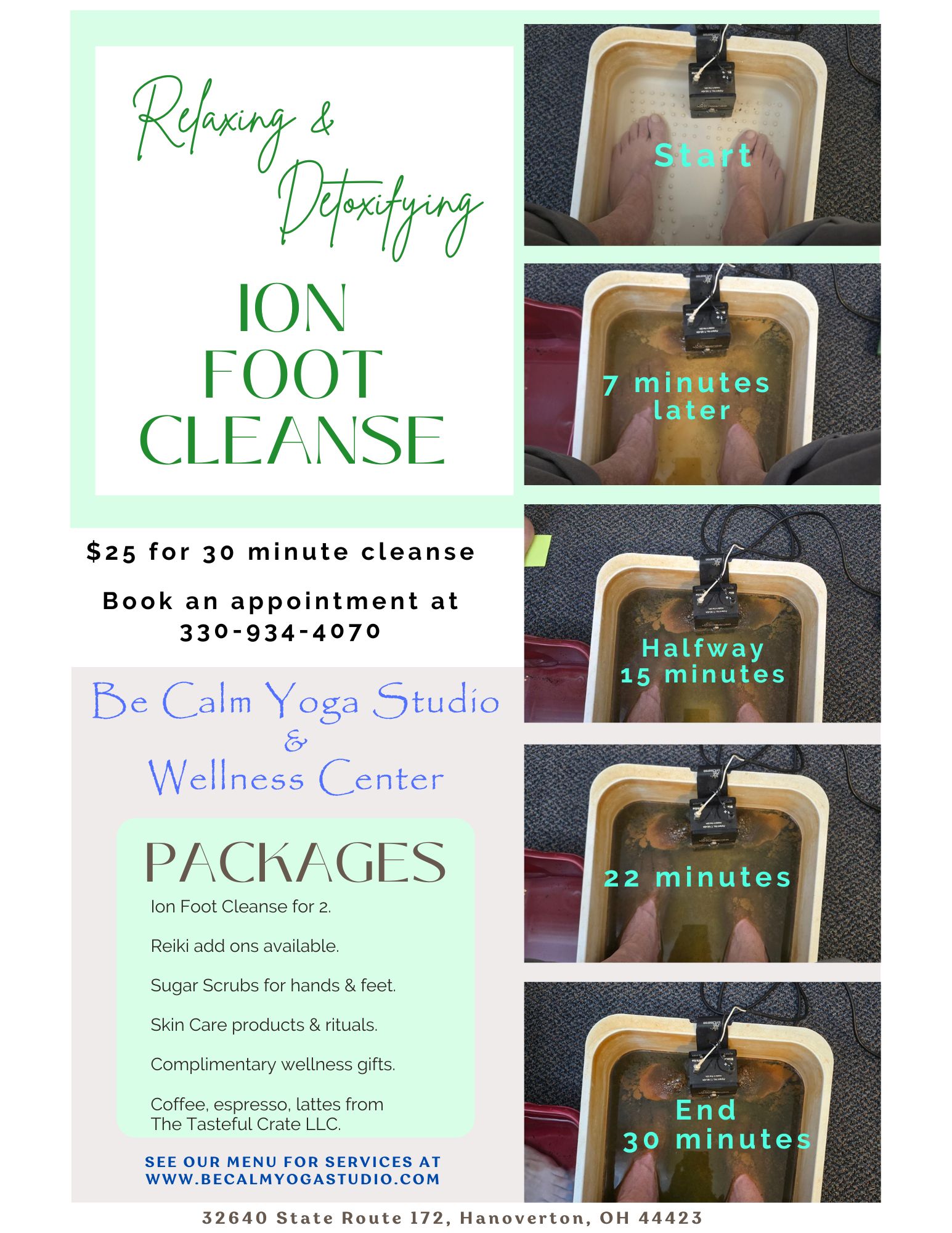 Ion Foot Cleanse